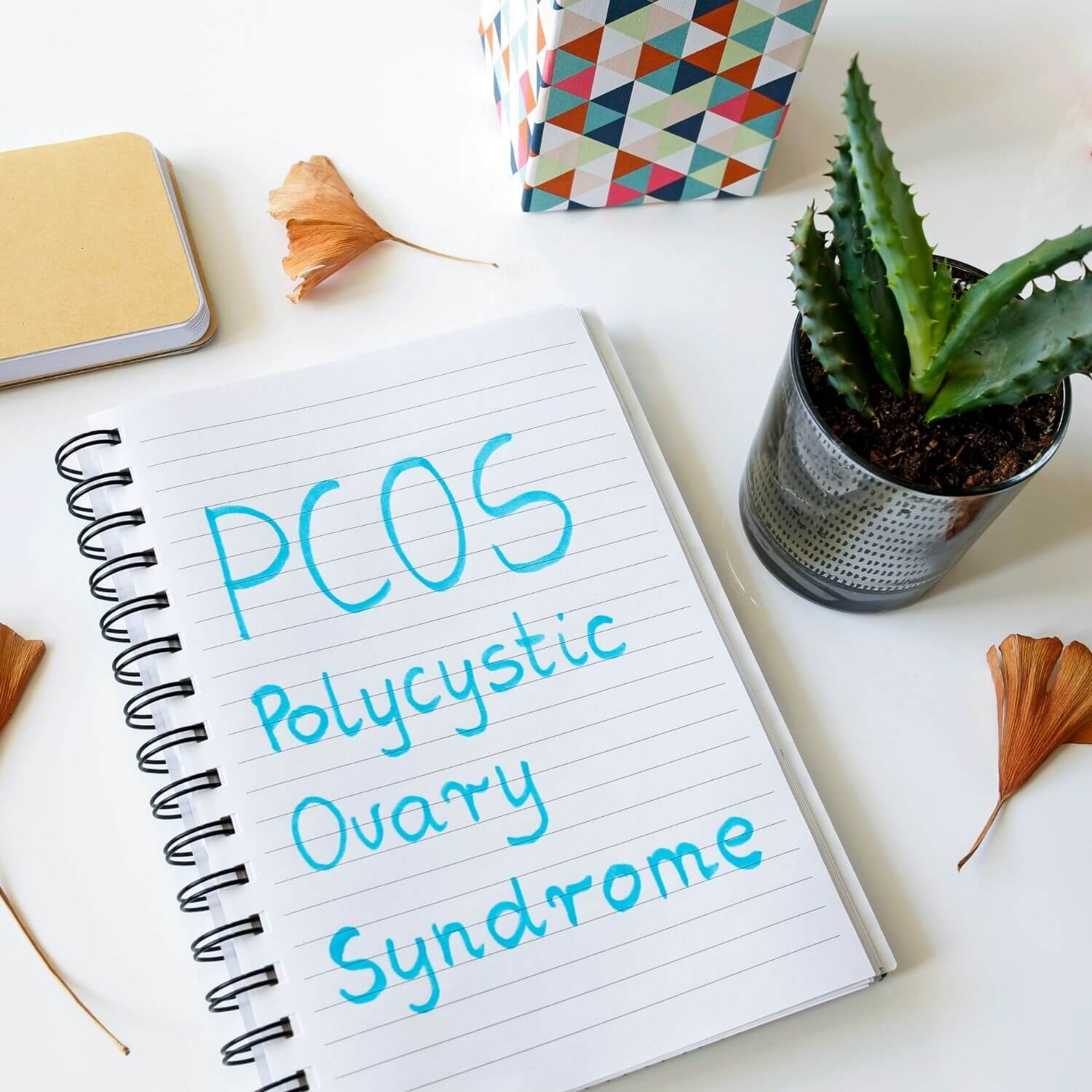 Hidden Effects of PCOS | Secret Whispers